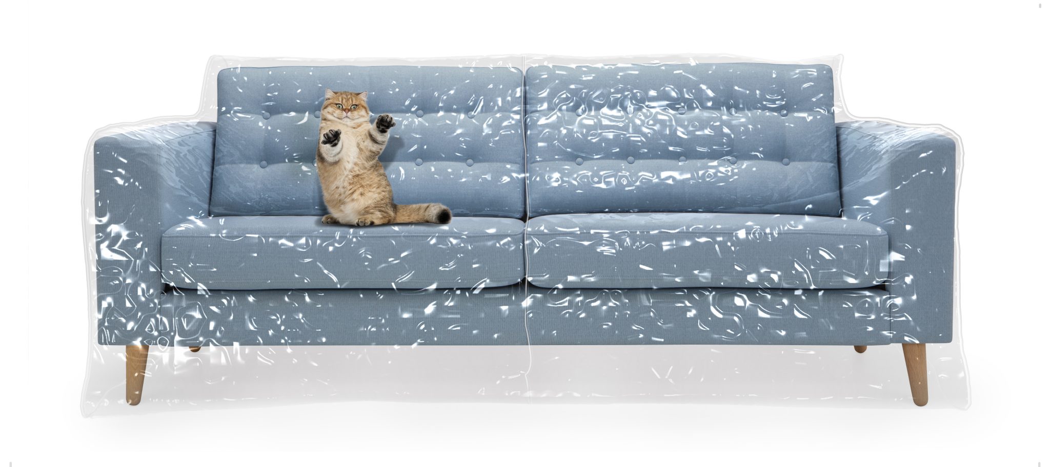 Kitty Cat Protector Kitty Cat Protector